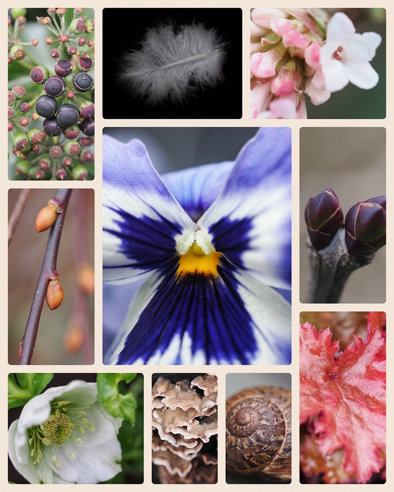 Ten | Technophobe | Blipfoto