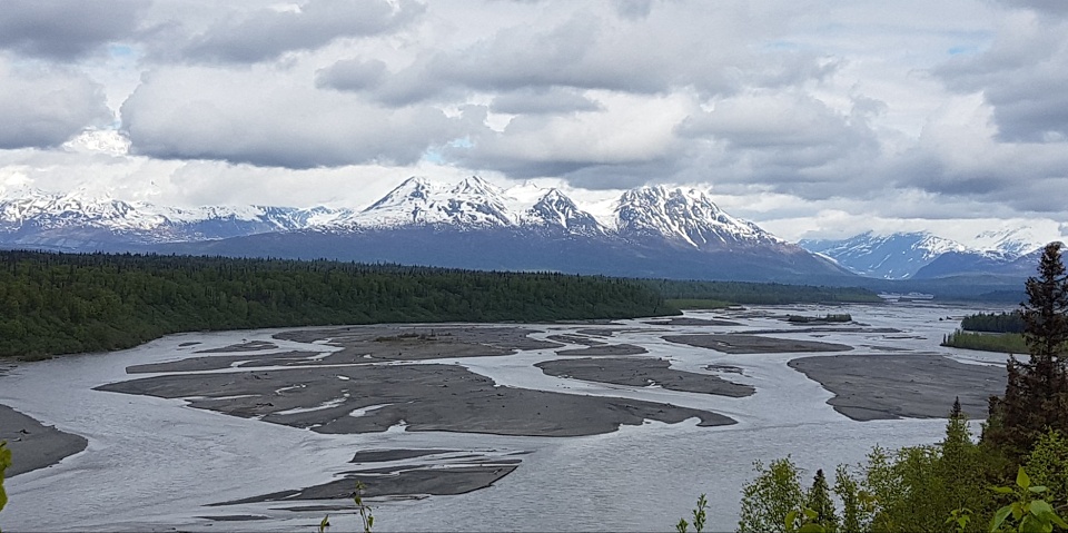 The View from Below | Skeena | Blipfoto