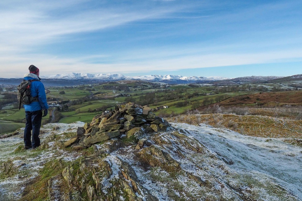 Hugill Fell | Puffin | Blipfoto