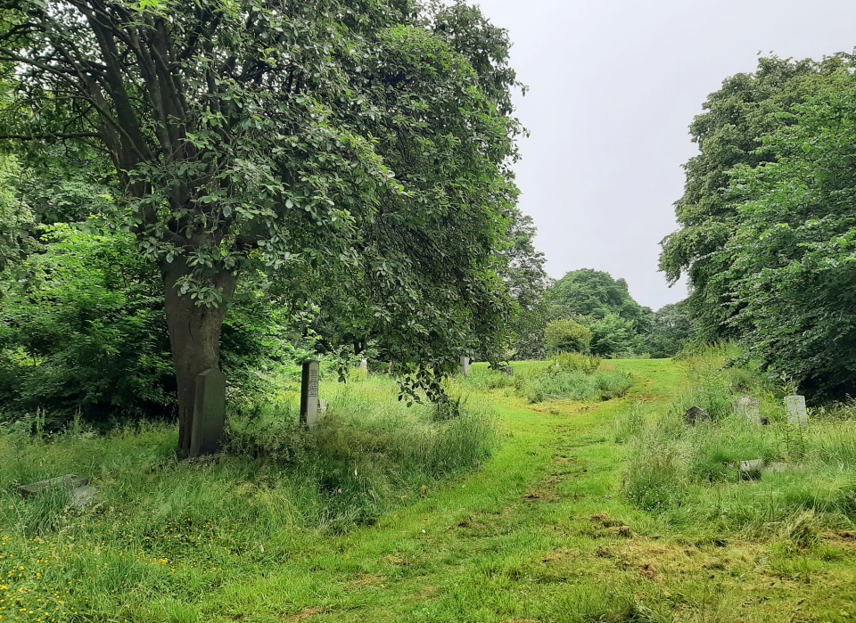 North Merchiston Cemetery | AndrewDBurns | Blipfoto