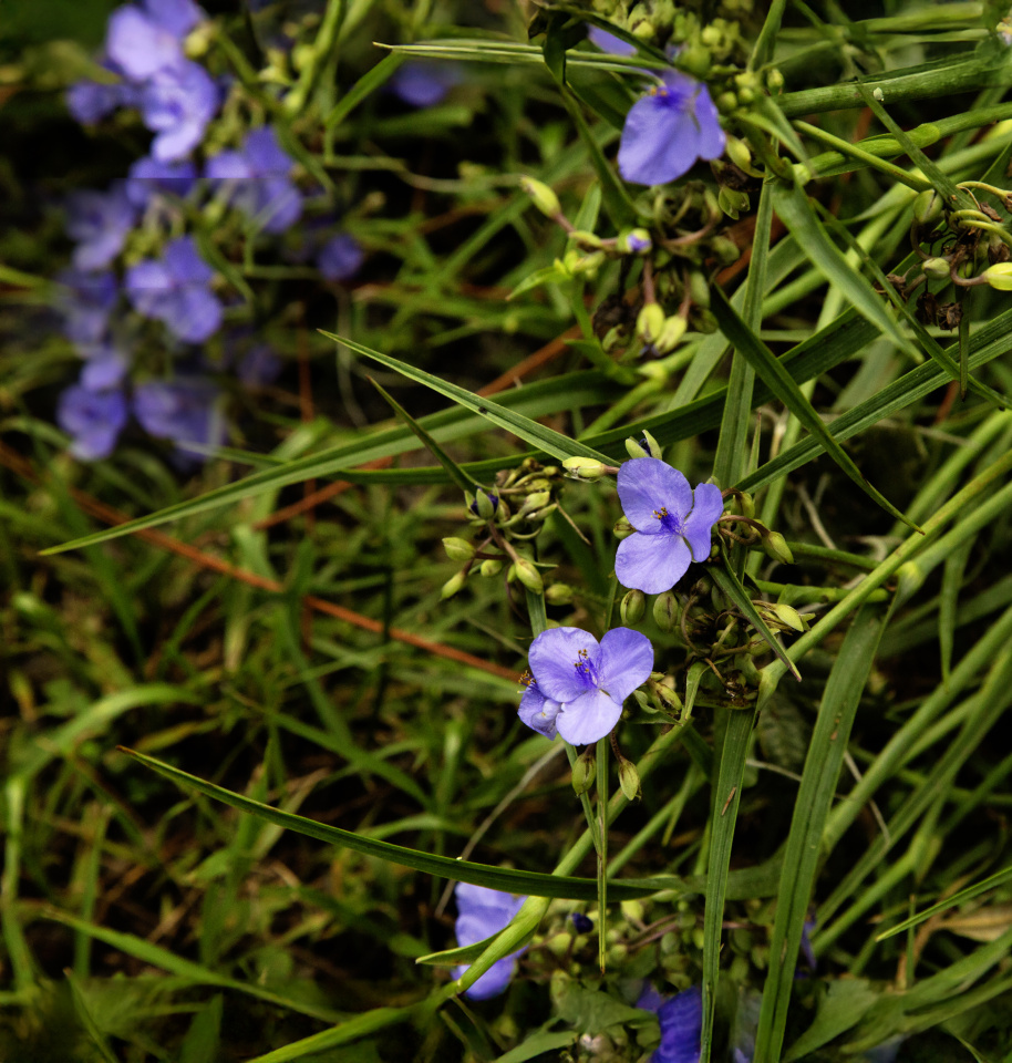 OOPS!!! | bugsman | Blipfoto