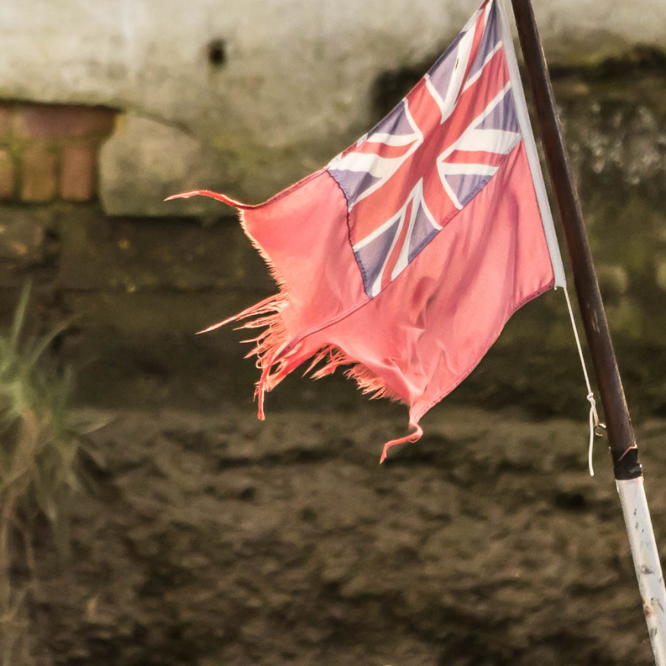 In Tatters!! | BJeff417 | Blipfoto