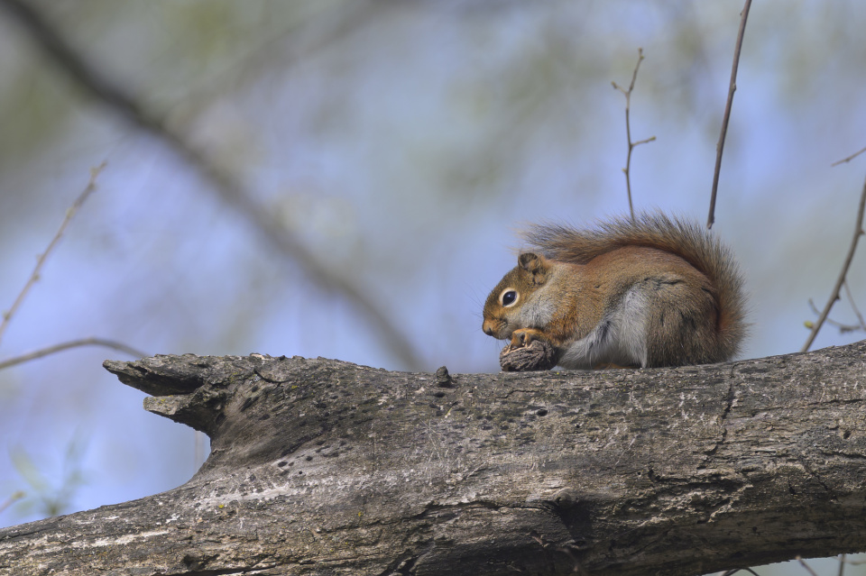 Firsts | dbifulco | Blipfoto