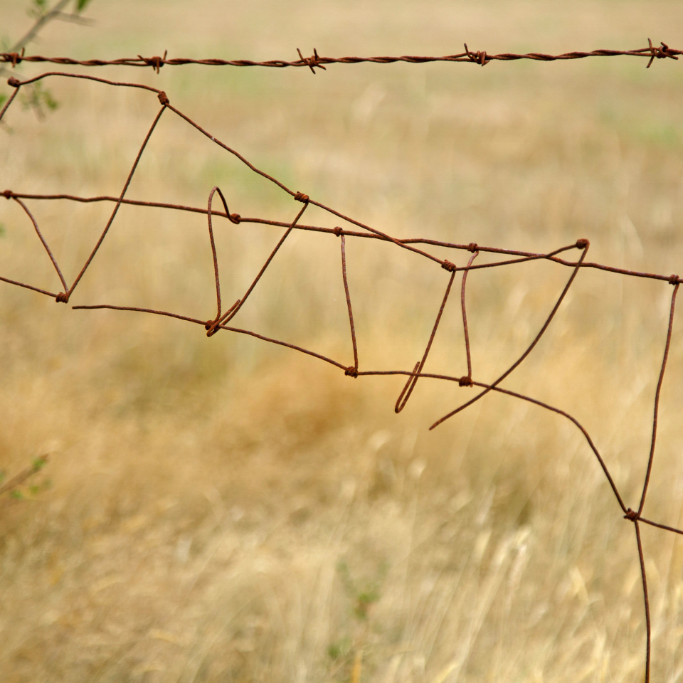 Barb wire patterns | Nanzy19 | Blipfoto