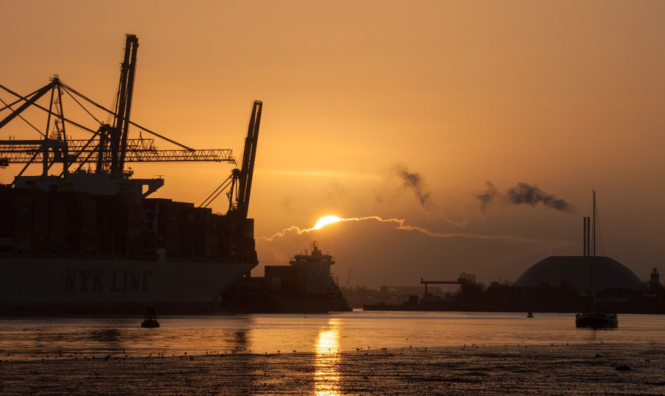 Peeping over | gladders | Blipfoto