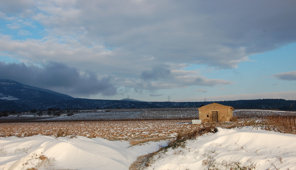 After the snow | Veronica | Blipfoto