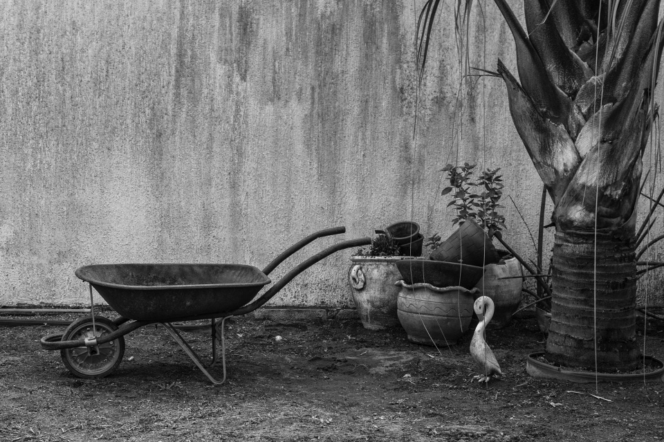 Setup For a Dream | little_miss | Blipfoto