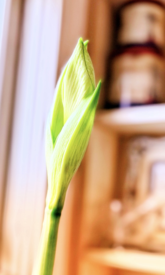 Finally! | Kimb | Blipfoto