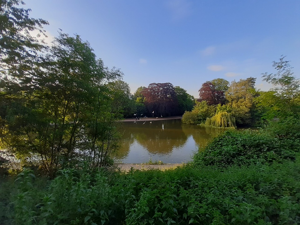 Lovely luscious lake | MarkusMeerkat | Blipfoto