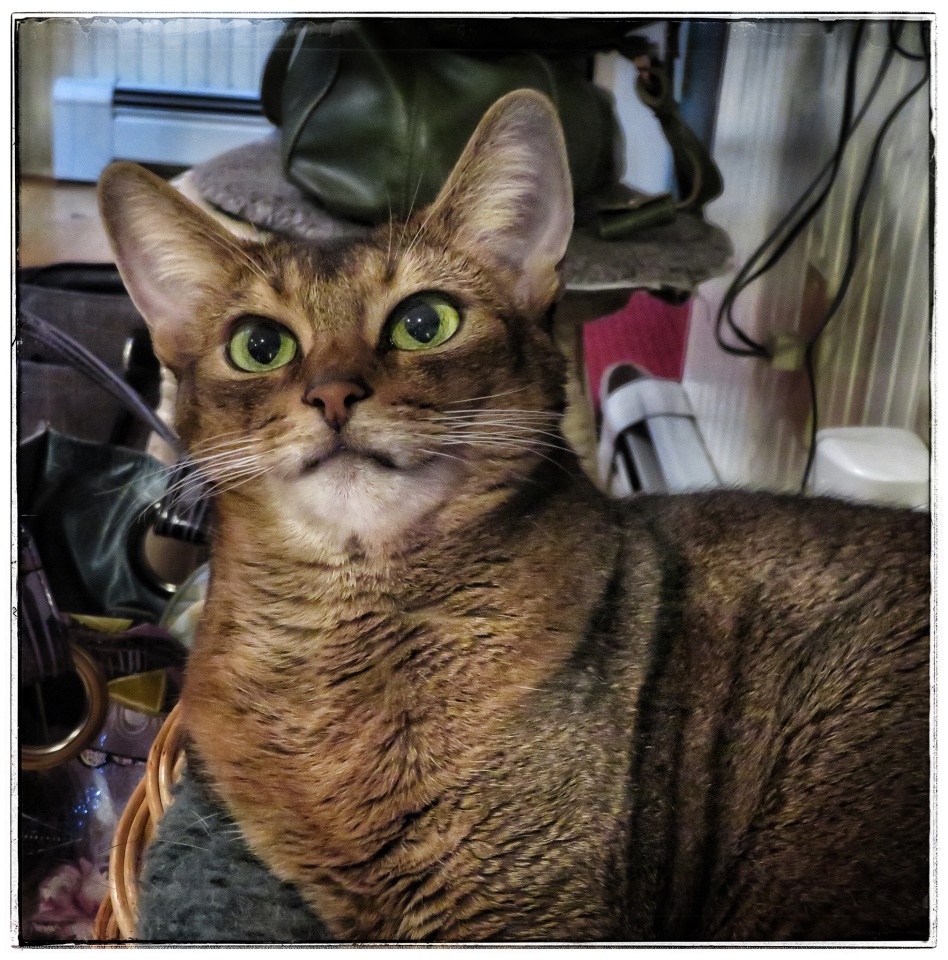 Miss Raspberry | Memories4Me | Blipfoto