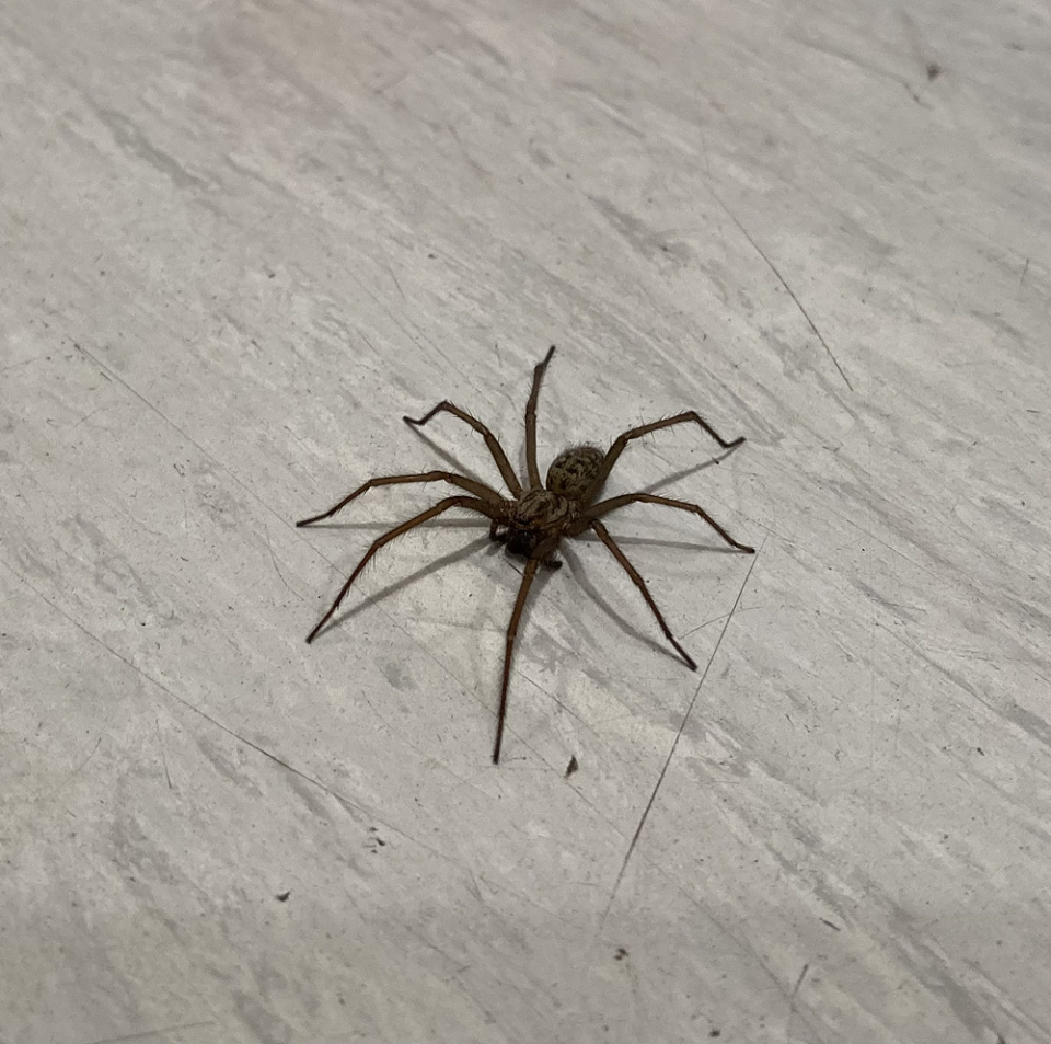 Look away | koko | Blipfoto