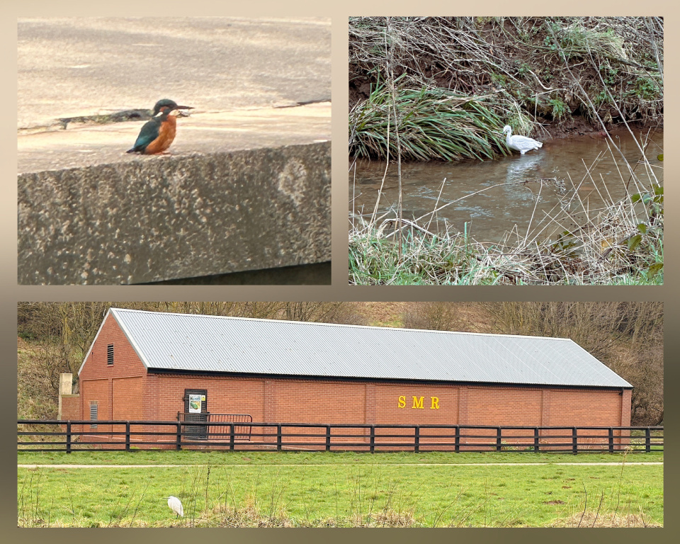 Skelton Beck | ApolloFly | Blipfoto