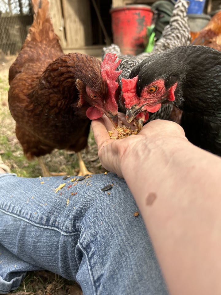 Hanging out….. | loveeveryminute | Blipfoto