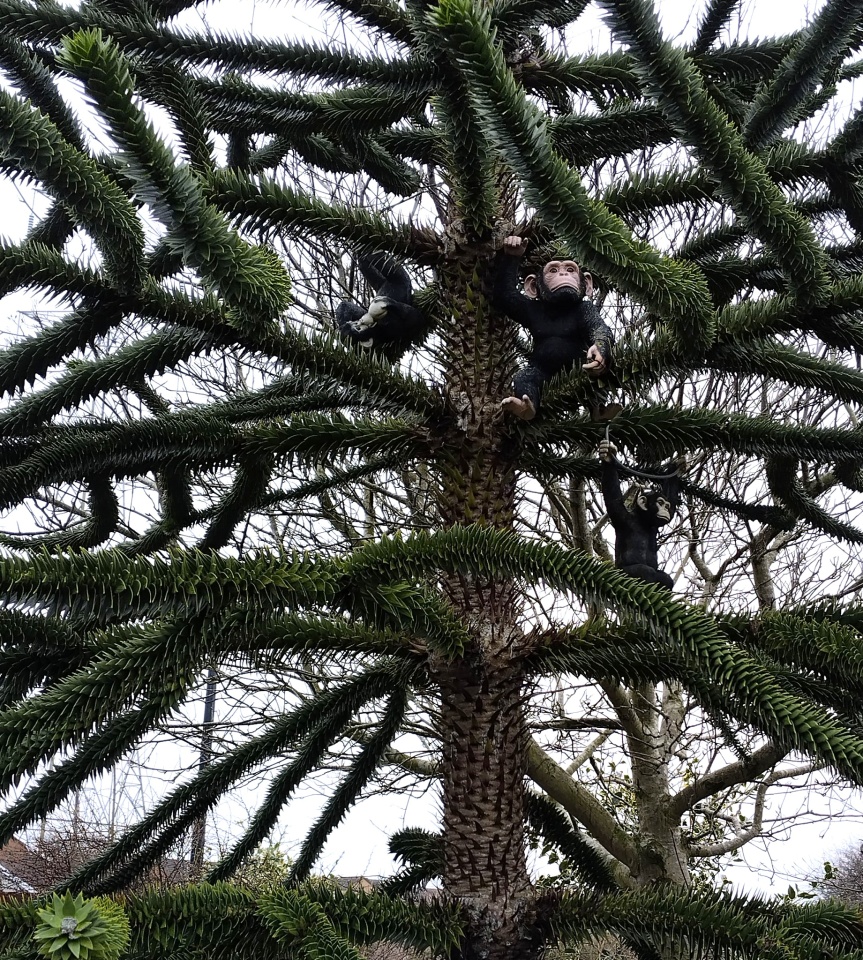 A gardener with a sense of humour! | JulesB | Blipfoto