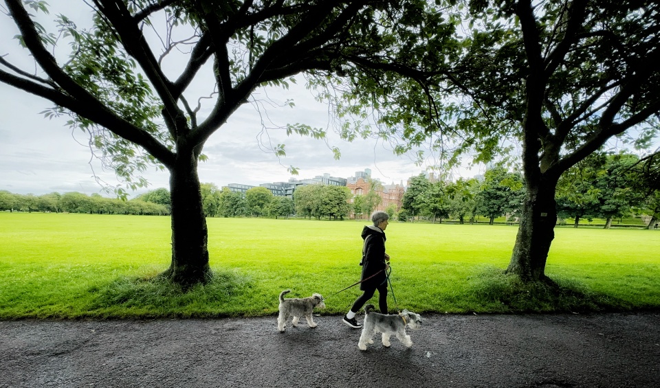 A slow, damp dog walk (with pastries) | LadyMarchmont | Blipfoto
