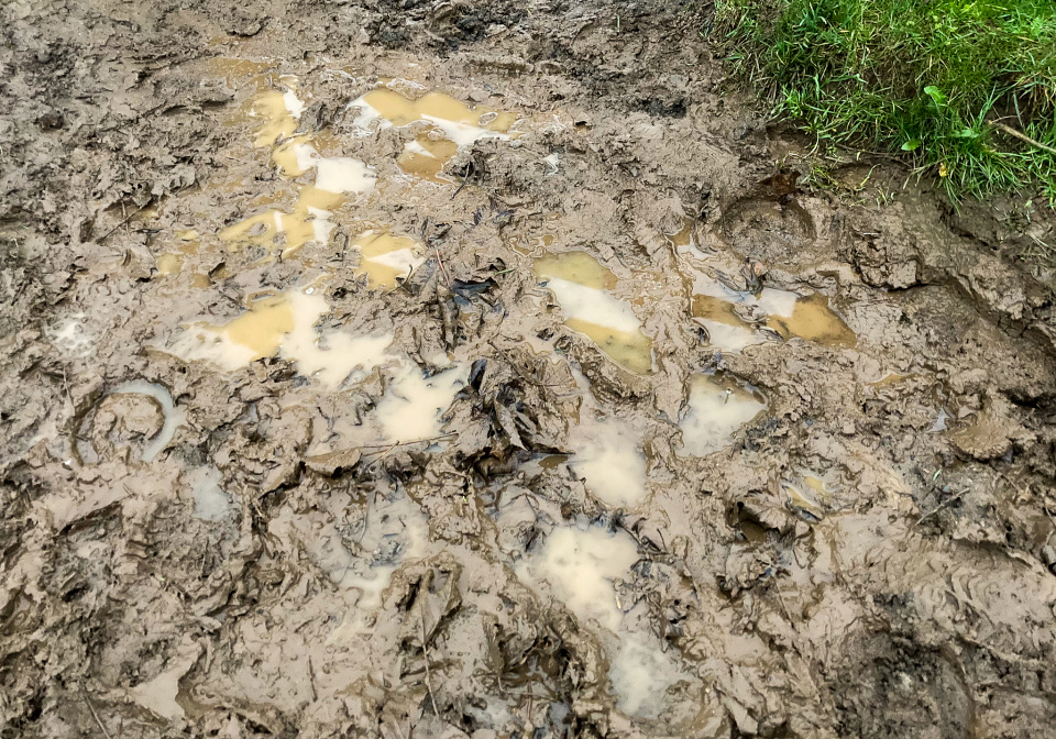 Muddy, muddy, muddy… | madwill | Blipfoto