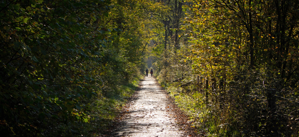 Manifold Way Walk | Helwild | Blipfoto