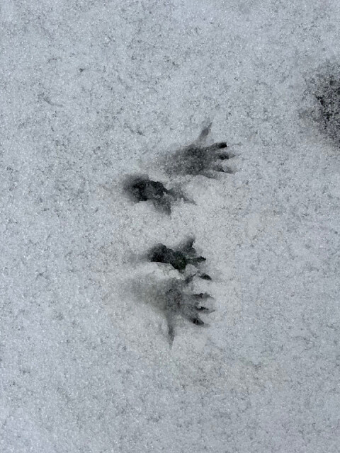 Who goes there? | dbifulco | Blipfoto