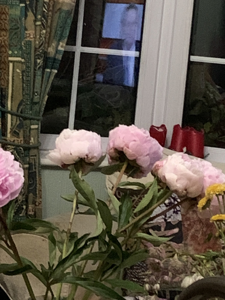 EB busy day | LouiseCarr | Blipfoto