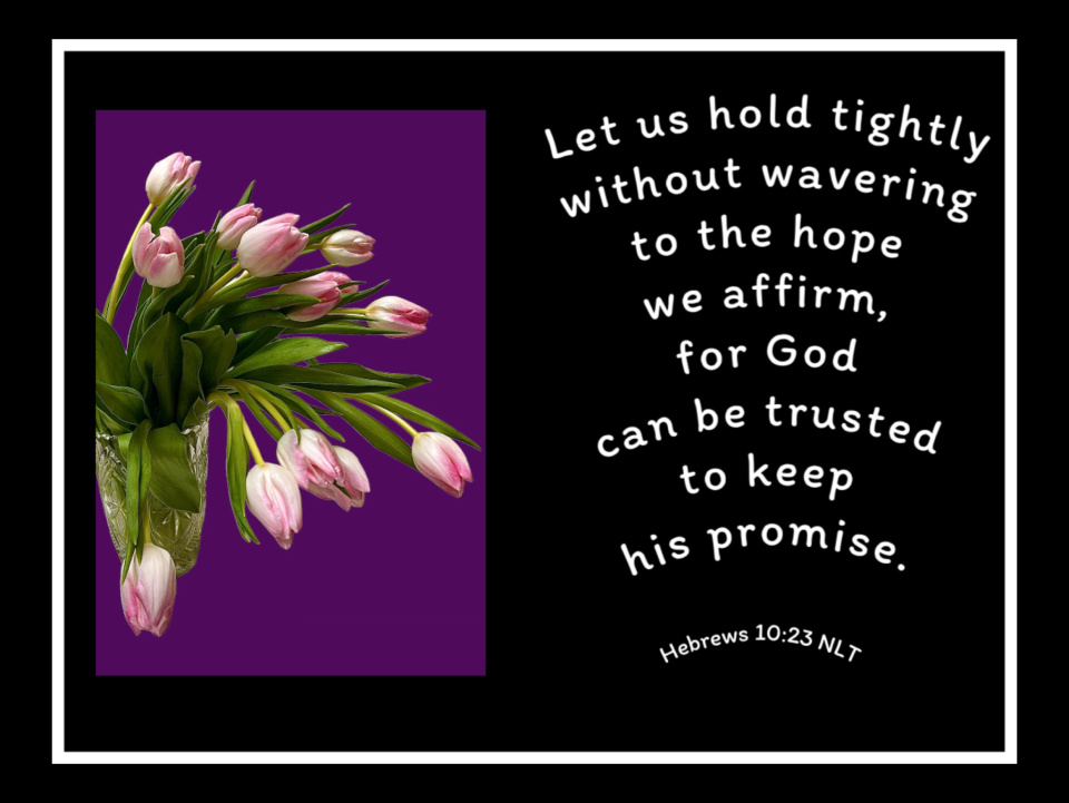 BEAUTIFUL REMINDERS THAT SPRING IS ON THE WAY! | Honeycombebeach | Blipfoto