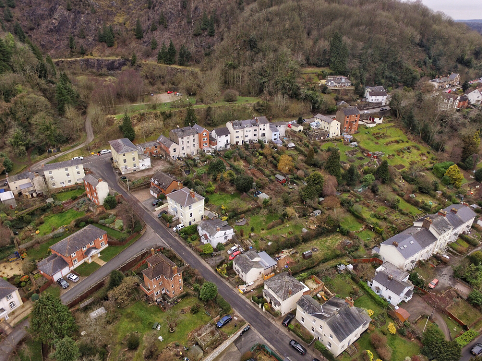 Curious | mooncoin | Blipfoto