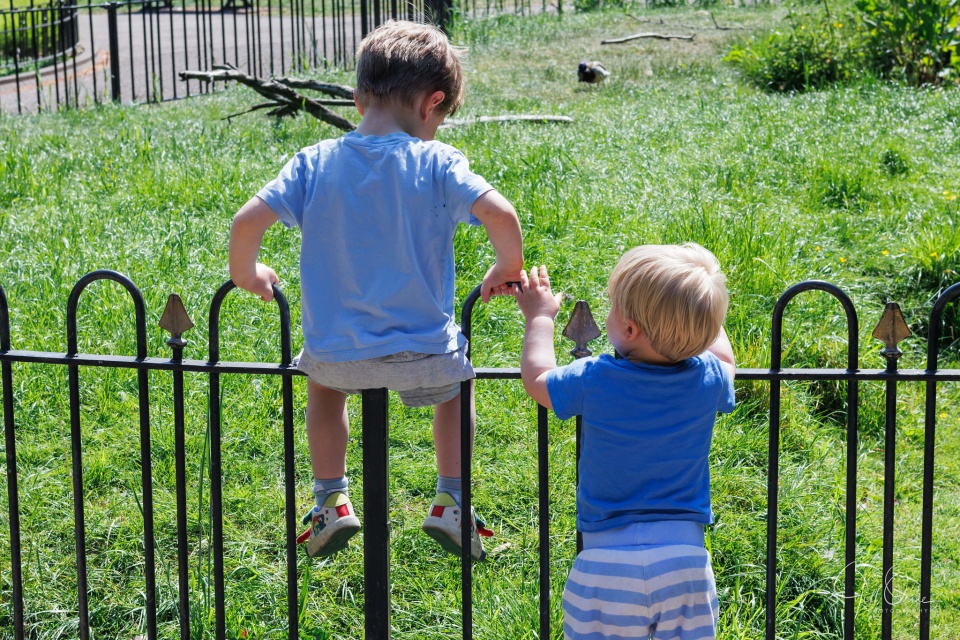 Bros | JDO | Blipfoto