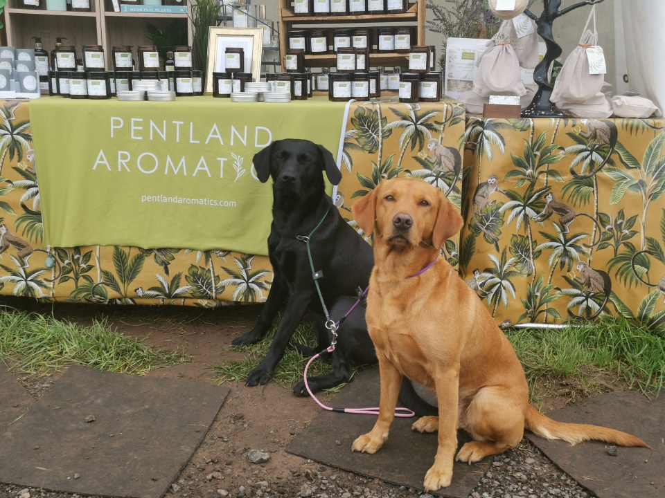 Sage and Rue | nadinepierce | Blipfoto