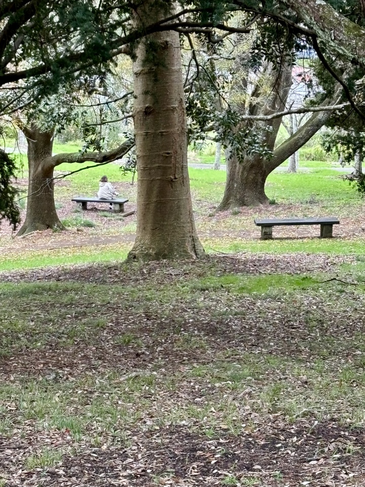 On a park bench | waipushrink | Blipfoto