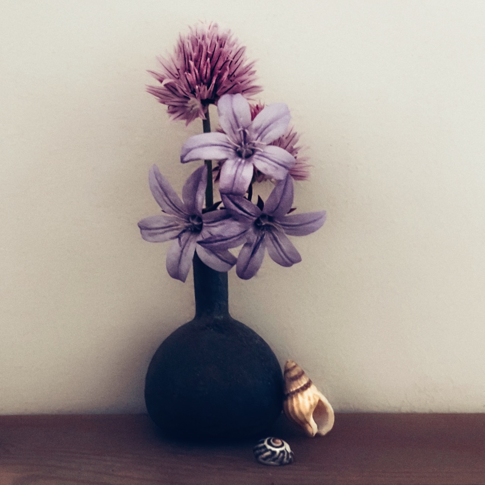 small blooms & tiny shells | sk | Blipfoto