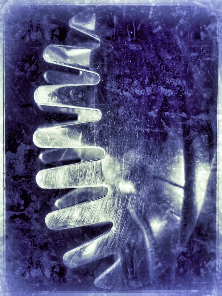 Clammed up | pixelpixie | Blipfoto