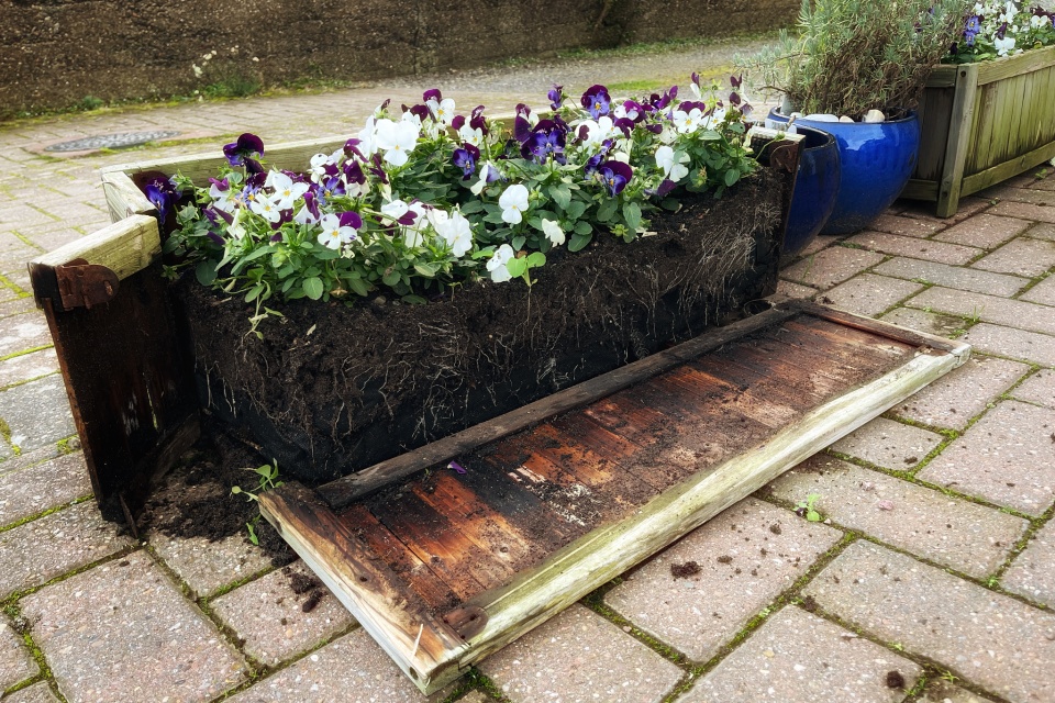 Tiny Tuesday | carol_dunham | Blipfoto