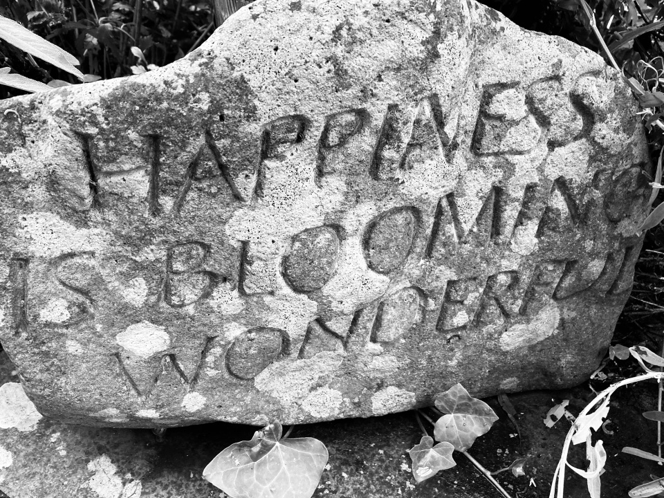The Happy Stone | MollyG | Blipfoto
