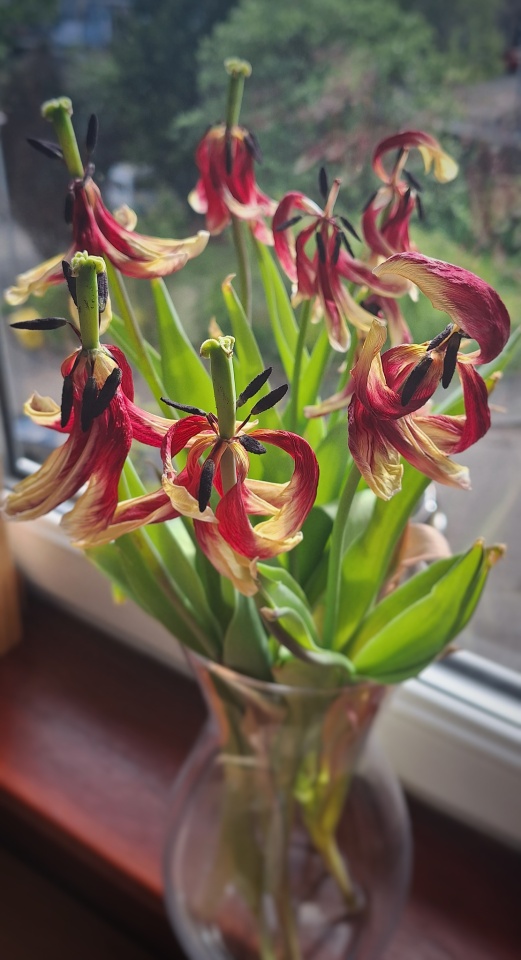 Friday | Caffeinated | Blipfoto