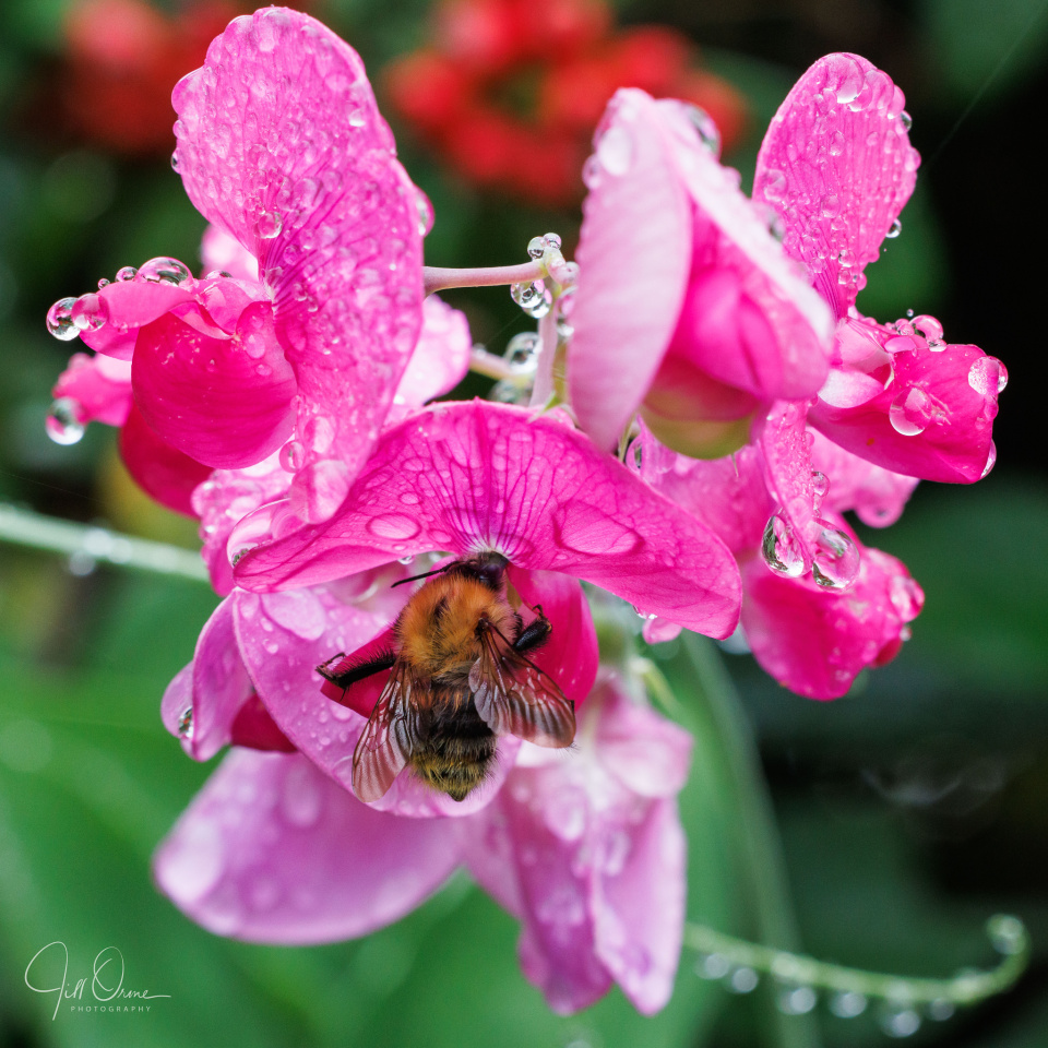 First off the blocks | JDO | Blipfoto