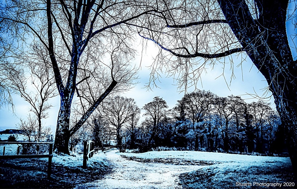 A cold and frosty morning | Stuart46 | Blipfoto