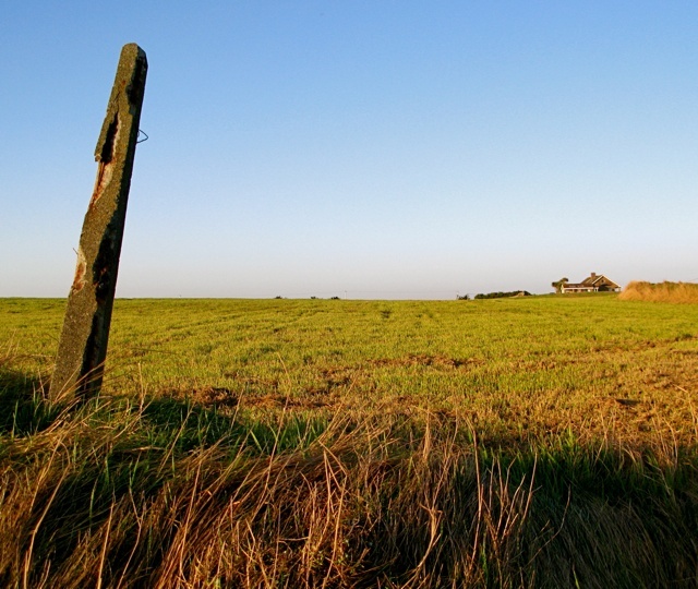 Irish prairie | dublinshooter | Blipfoto