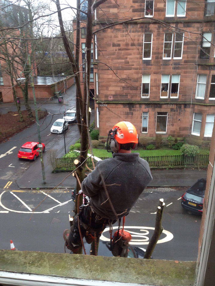 Strange man outside my window | Virginia | Blipfoto