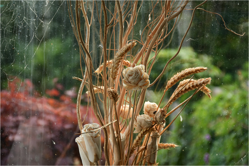 Miss Faversham's Garden | Hyperion | Blipfoto