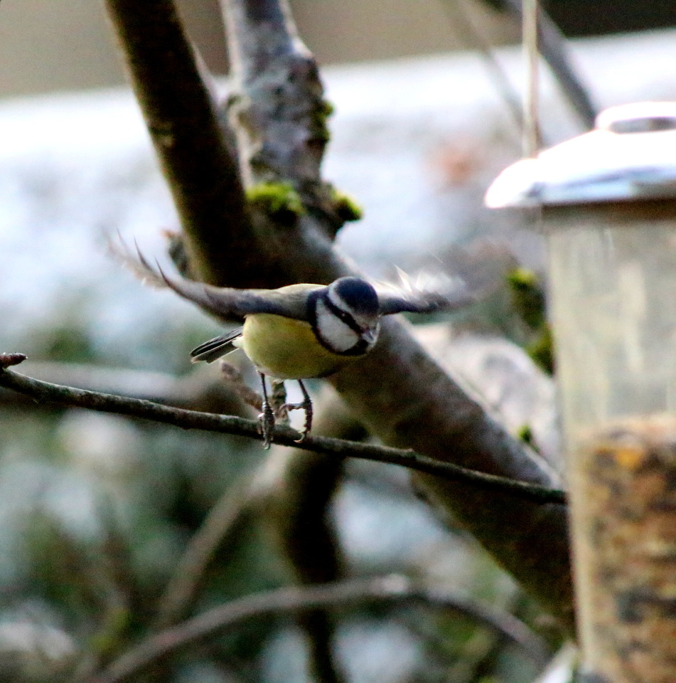 Weeeeeeeeeeeeeeeeeee.......... | theBroon | Blipfoto