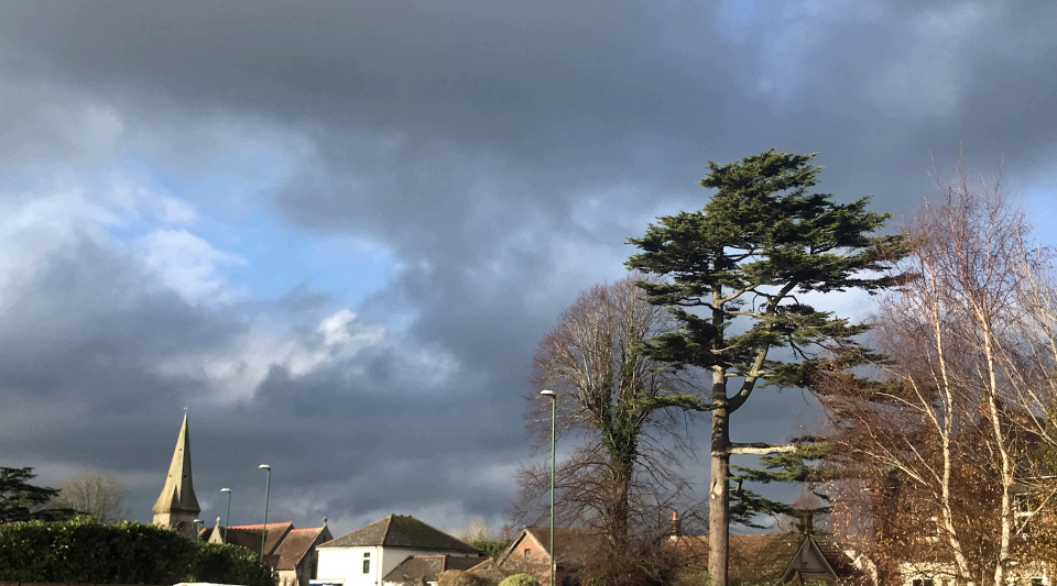 Light on trees | pixelpixie | Blipfoto