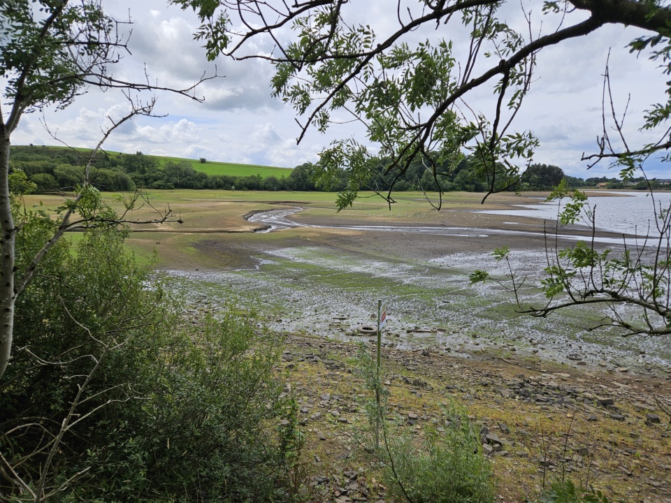 Reservoir bed | Simac | Blipfoto