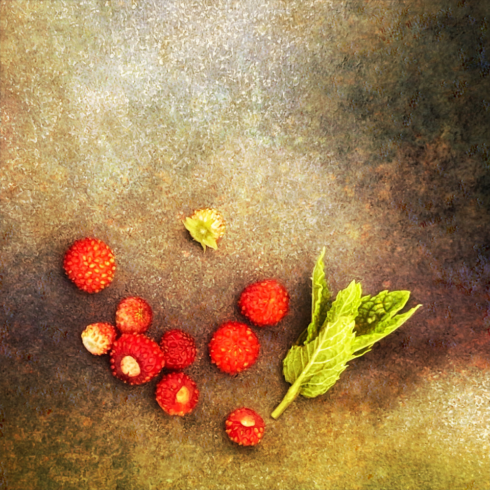 alpine strawberries | sk | Blipfoto