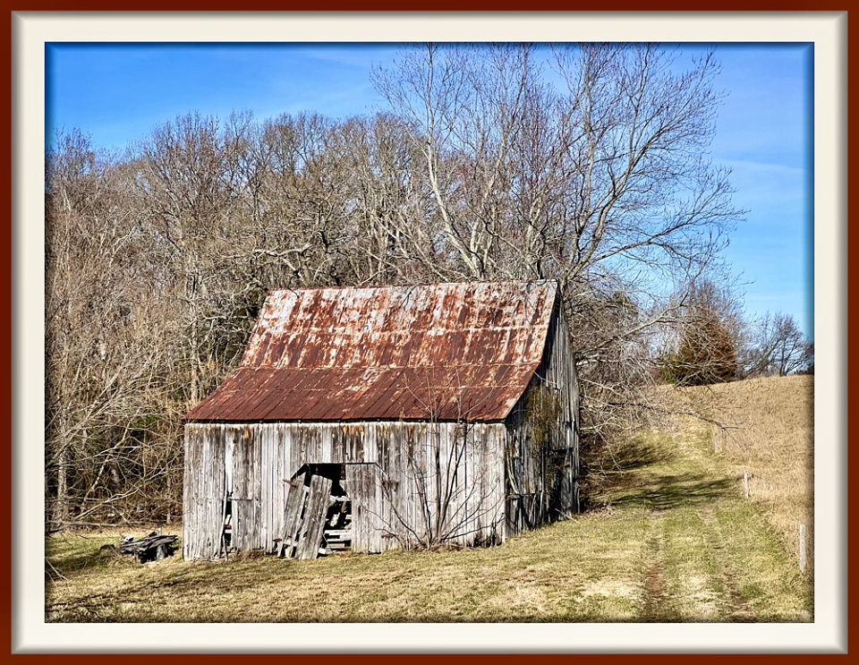 Abandoned and Forgotten | Grammy | Blipfoto