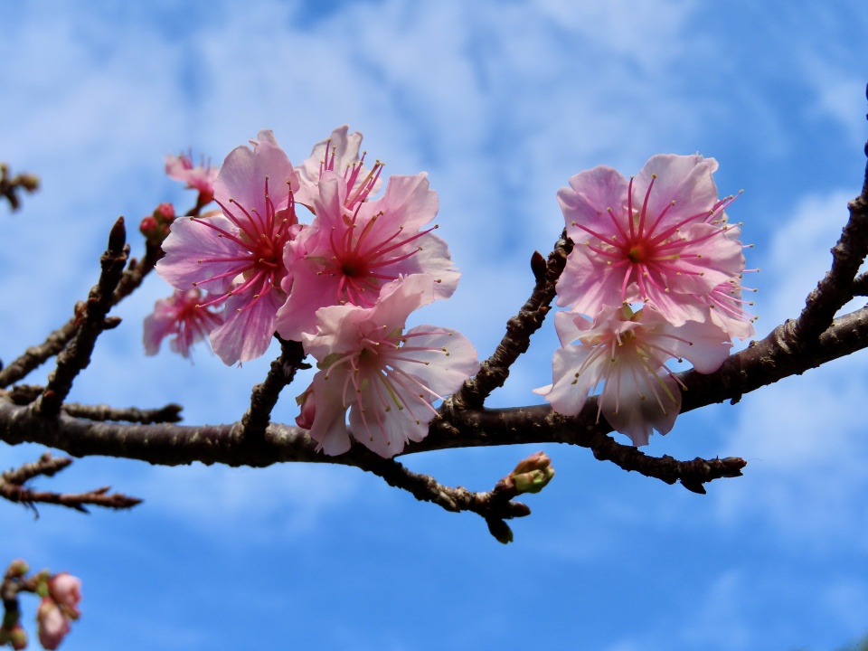 Spring Has (Almost!) Sprung | DDW | Blipfoto