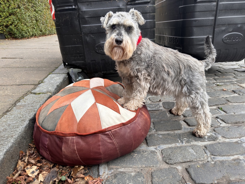 Bin Find No 643 | LadyMarchmont | Blipfoto