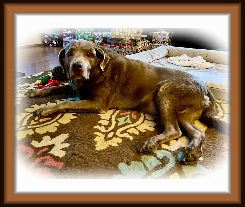 Sure Gonna Miss You | Grammy | Blipfoto