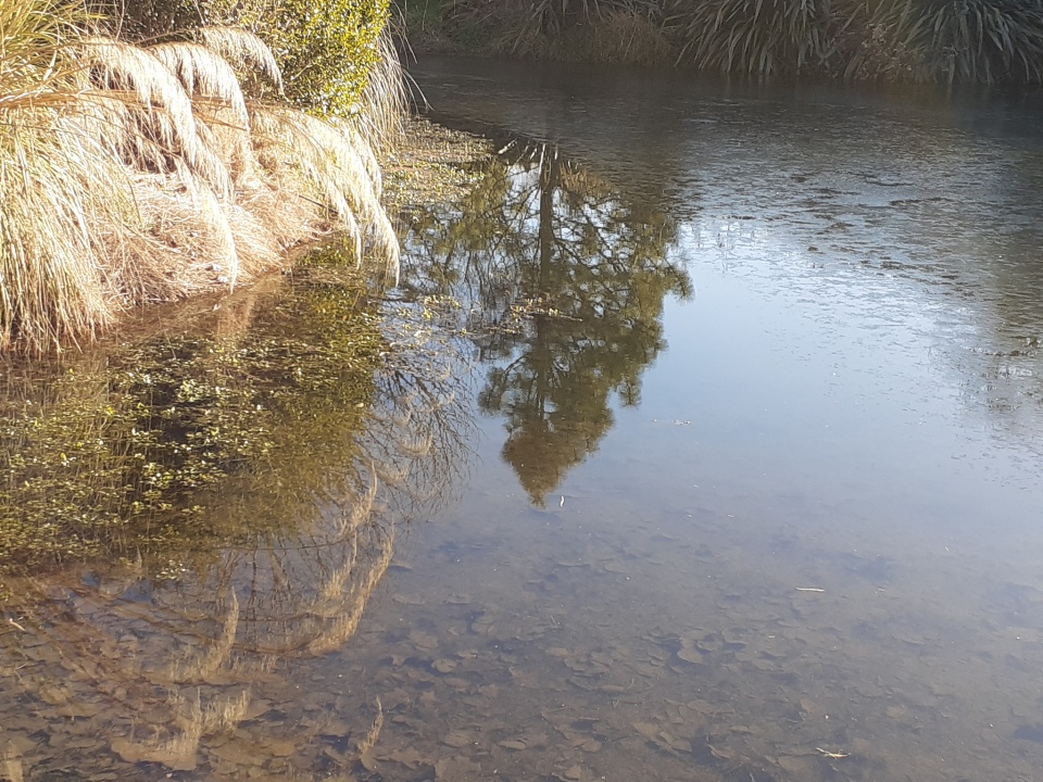 Reflections | Mima | Blipfoto