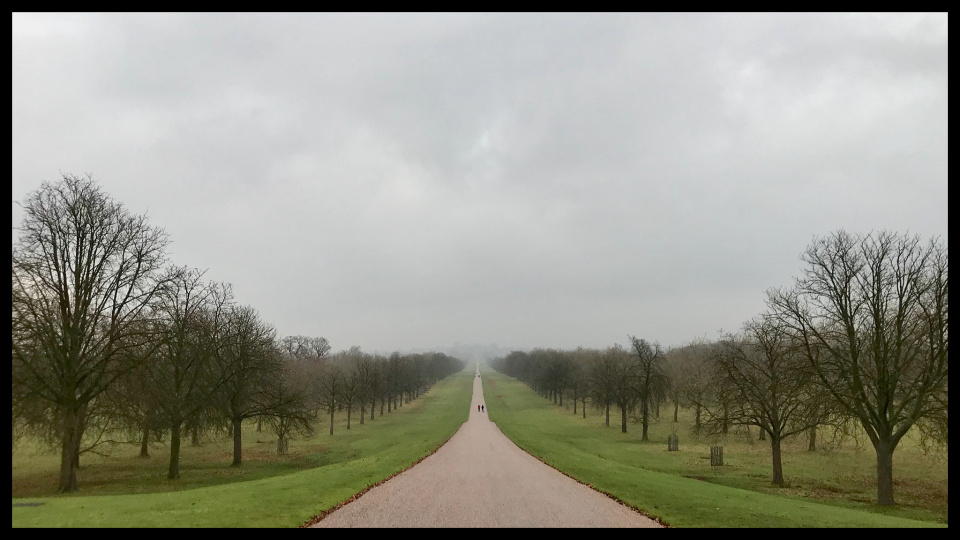 The Long Walk, Windsor Great Park | HeidiAndDolly | Blipfoto