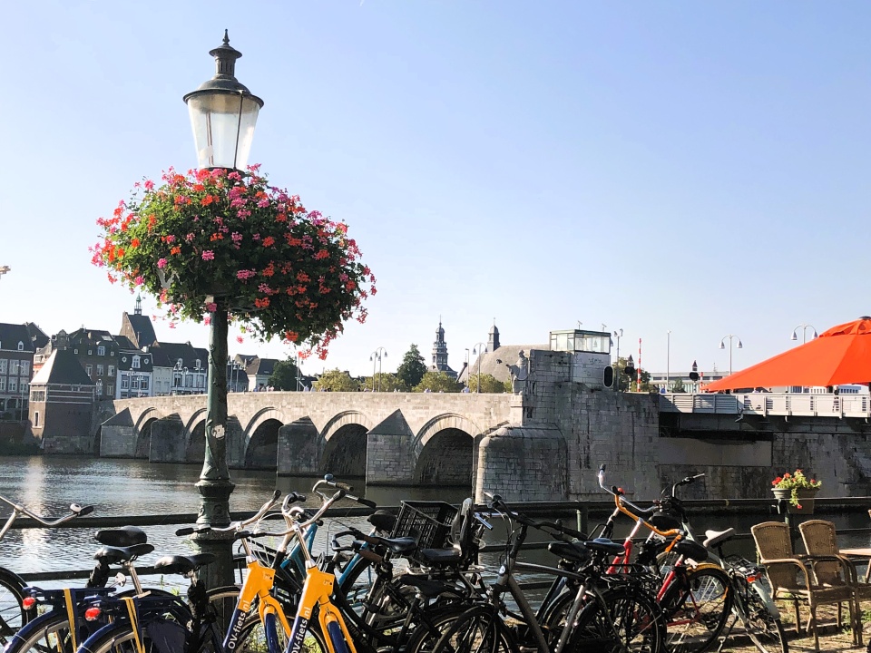 Still blooming beautifully… | pkln | Blipfoto