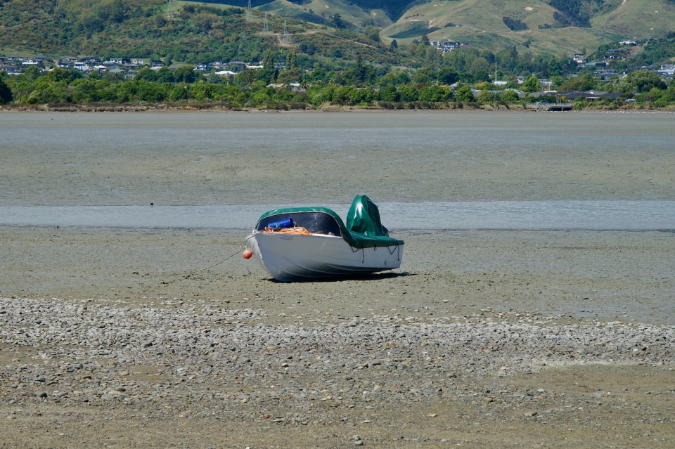 How high.... | AndrewNZ | Blipfoto